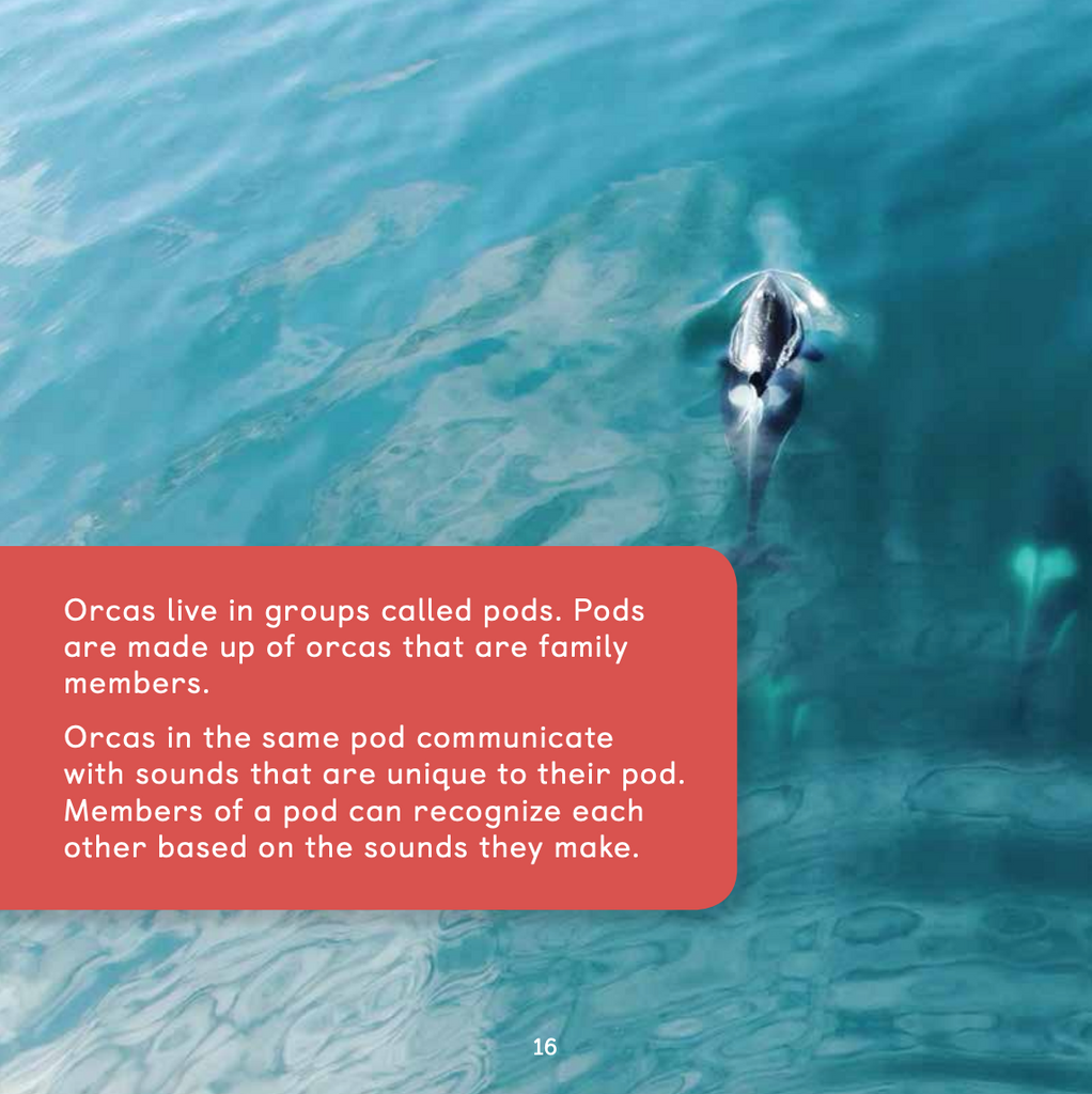 All About Orcas | Arvaaq Press – Inhabit Education Books