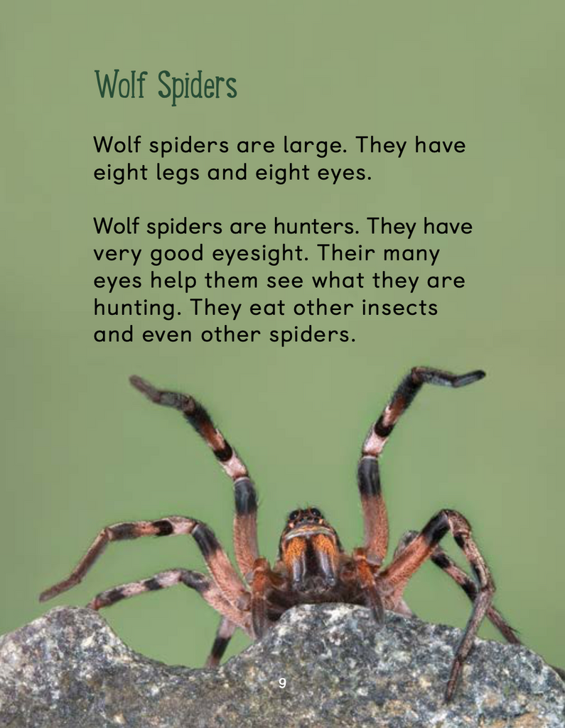 Insects of the Arctic: Bugs That Love the Cold | Arvaaq Press – Inhabit ...