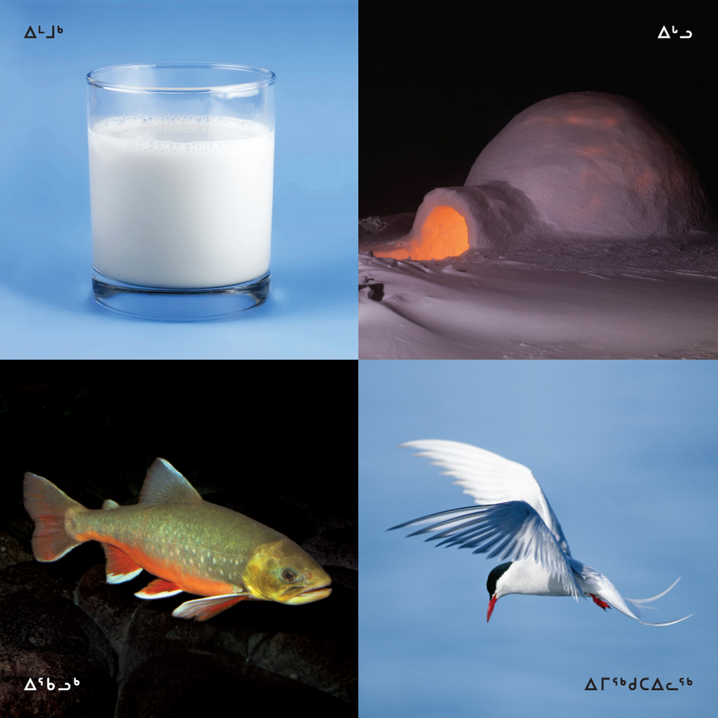 Sounds of I, pi, ti, si | Arvaaq Press – Inhabit Education Books