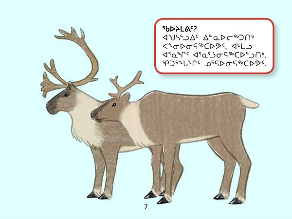 Uliaq's Amazing Animals: Caribou | Arvaaq Press – Inhabit Education Books
